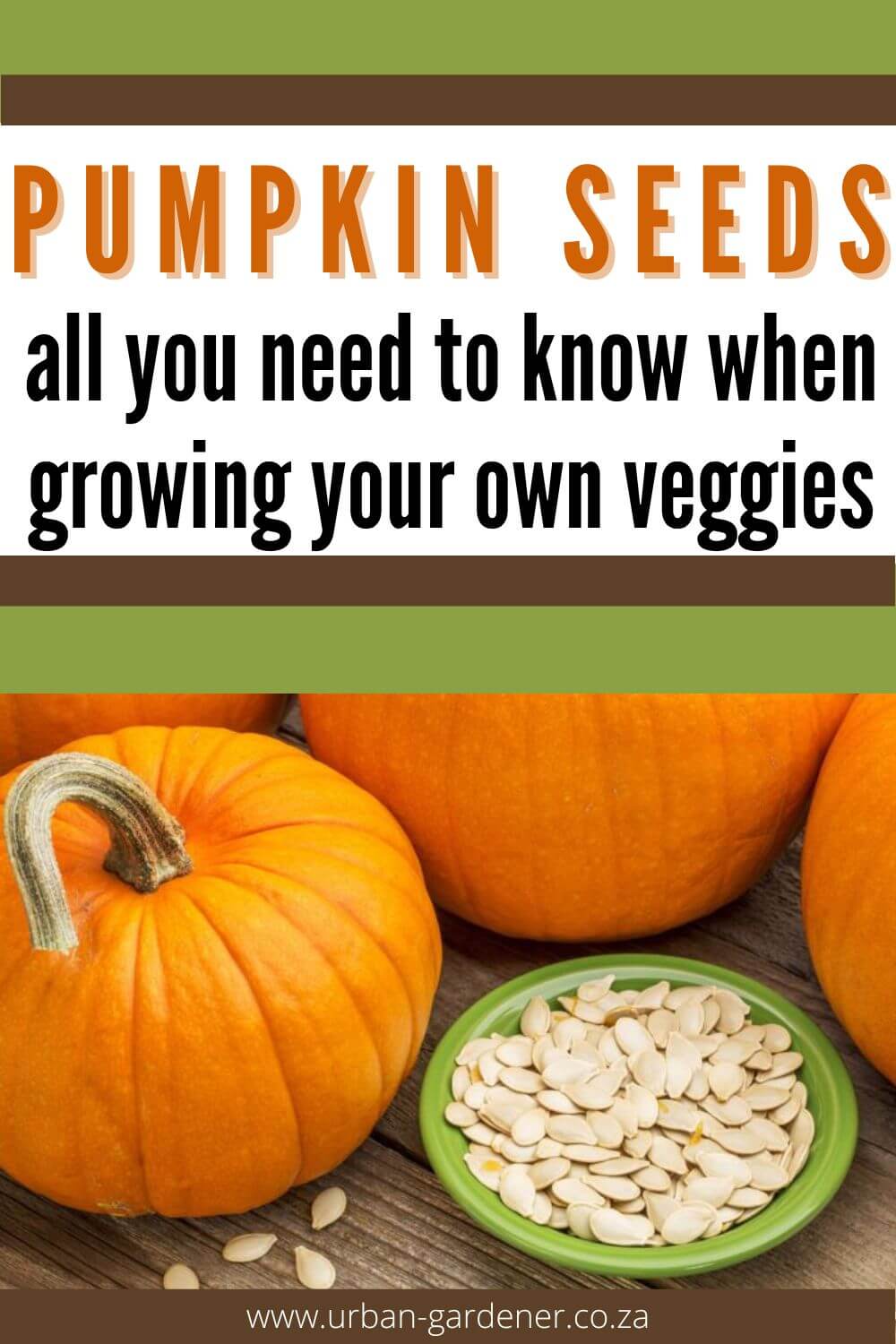 Worm Farm Problems Solved